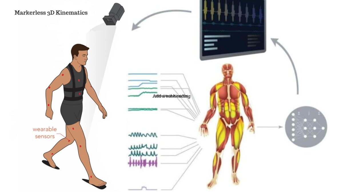 3D Motion Capture Analysis | Cervical Myelopathy | St. Louis, Creve Coeur, St. Louis County, MO
